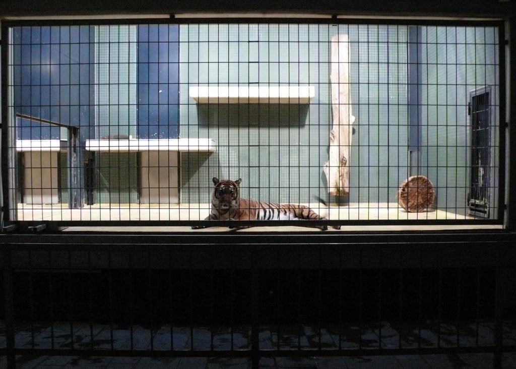 Out of Sight, Out of Mind – Pleasure Dome